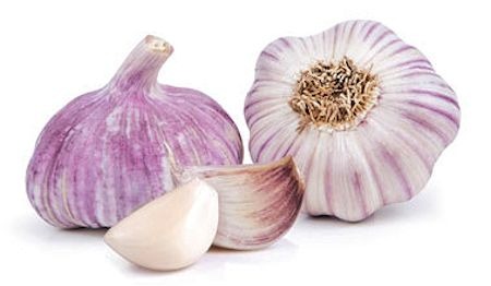 Ail et variétés pour votre potager - Fiches Potager - Bio Potager