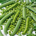 Les variétés de pois - Fiches Potager - Bio Potager